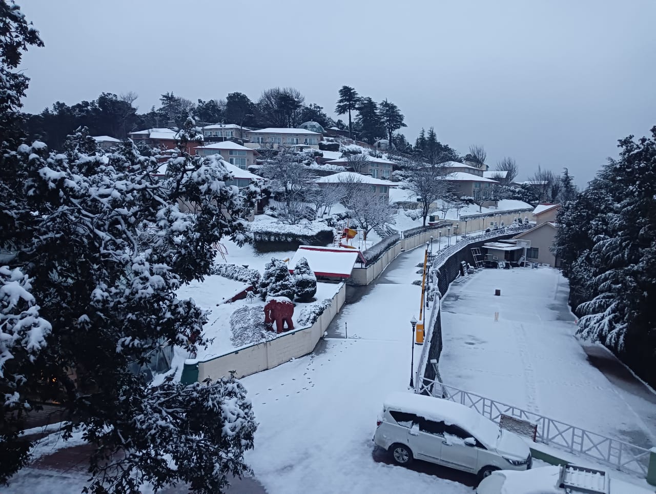 Snowfall in Chail - Tarika Hotels